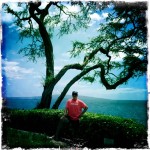 Steven J. Fogel | The Language of Possibility - Steven J. Fogel